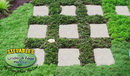 STEPABLES.COM - Plants that tolerate foot traffic